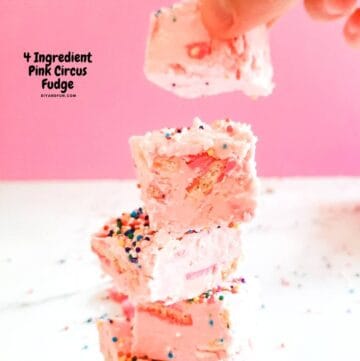4 Ingredient Pink Circus Fudge - DIY and Fun
