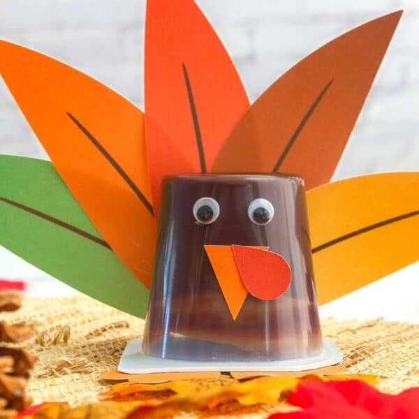 DIY Turkey Pudding Cups - DIY and Fun