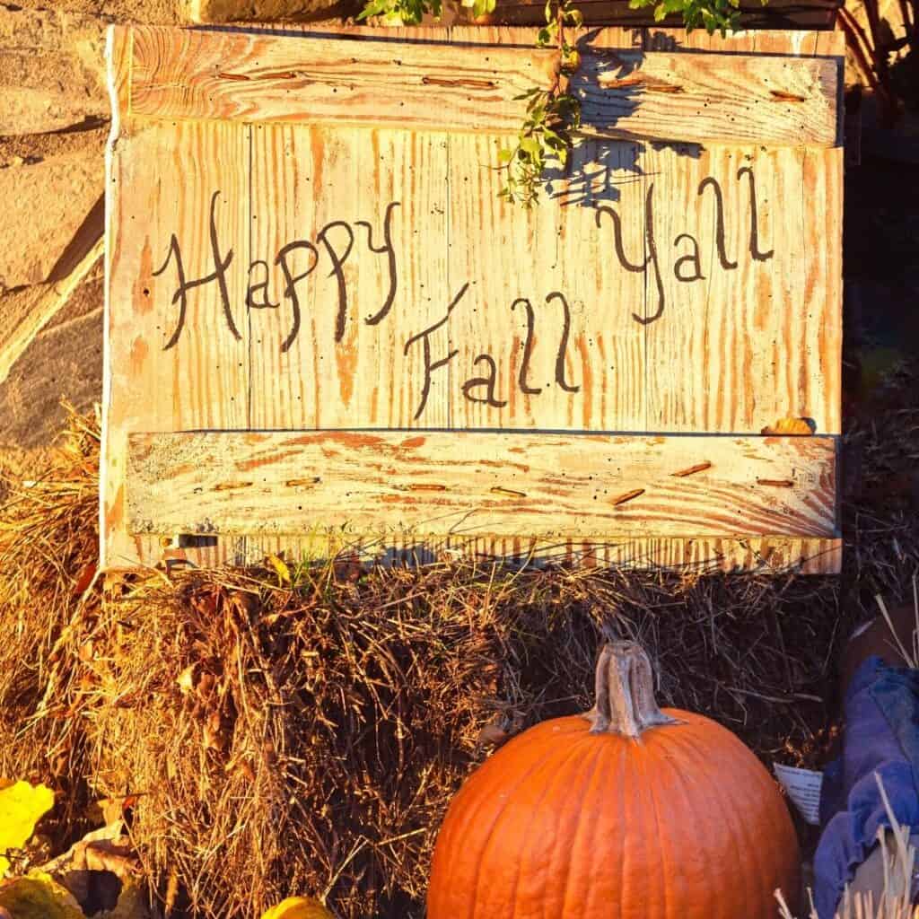 10 Cheap and Easy Fall Home Updates - DIY and Fun