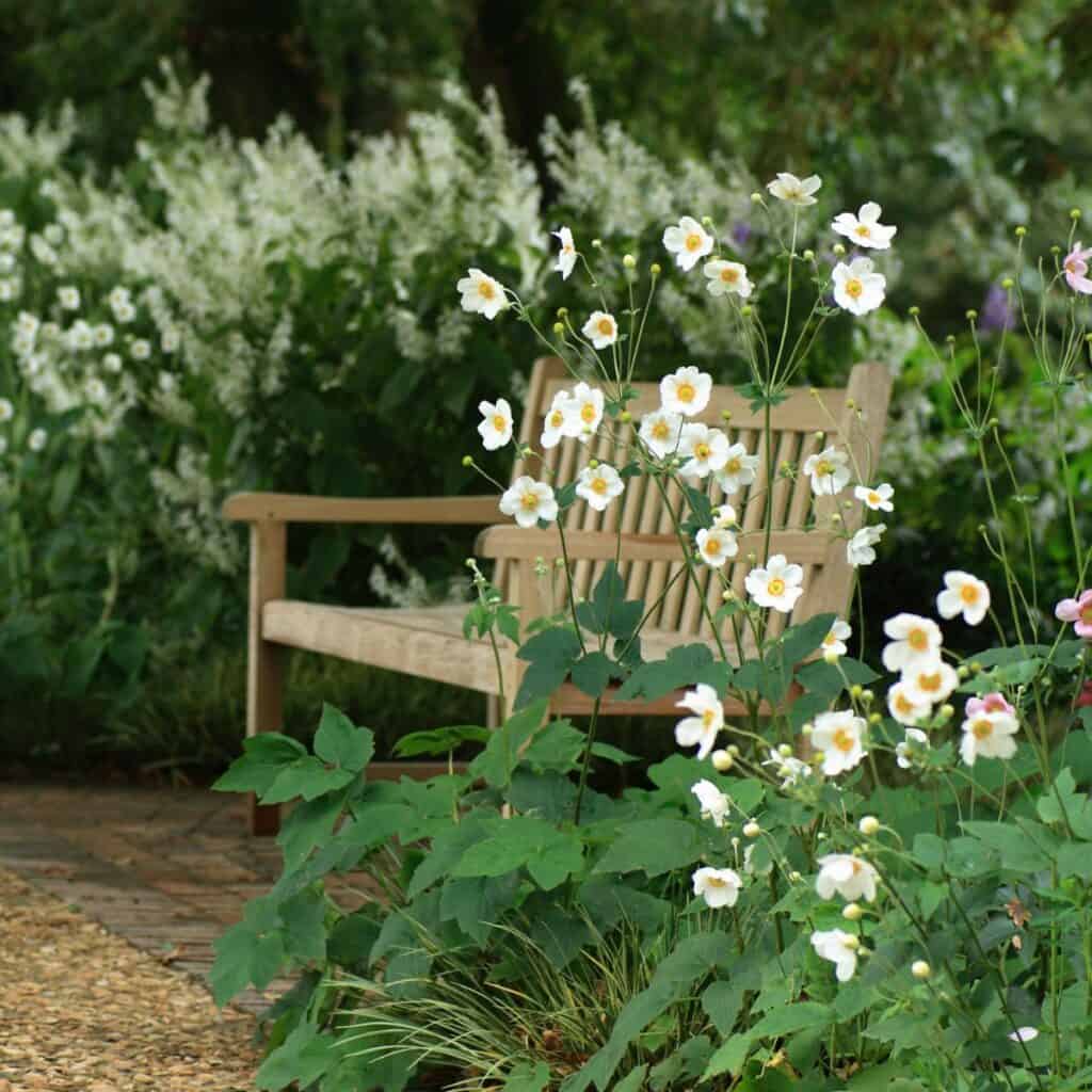 How to Make a Shade Garden - DIY and Fun