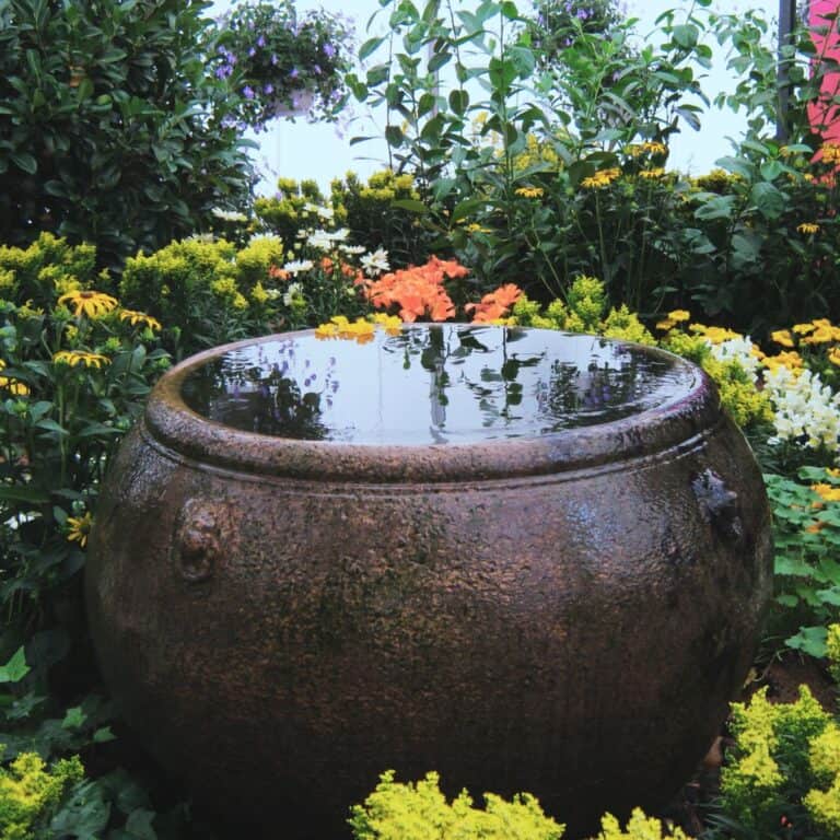 How to Build a Water Garden - DIY and Fun