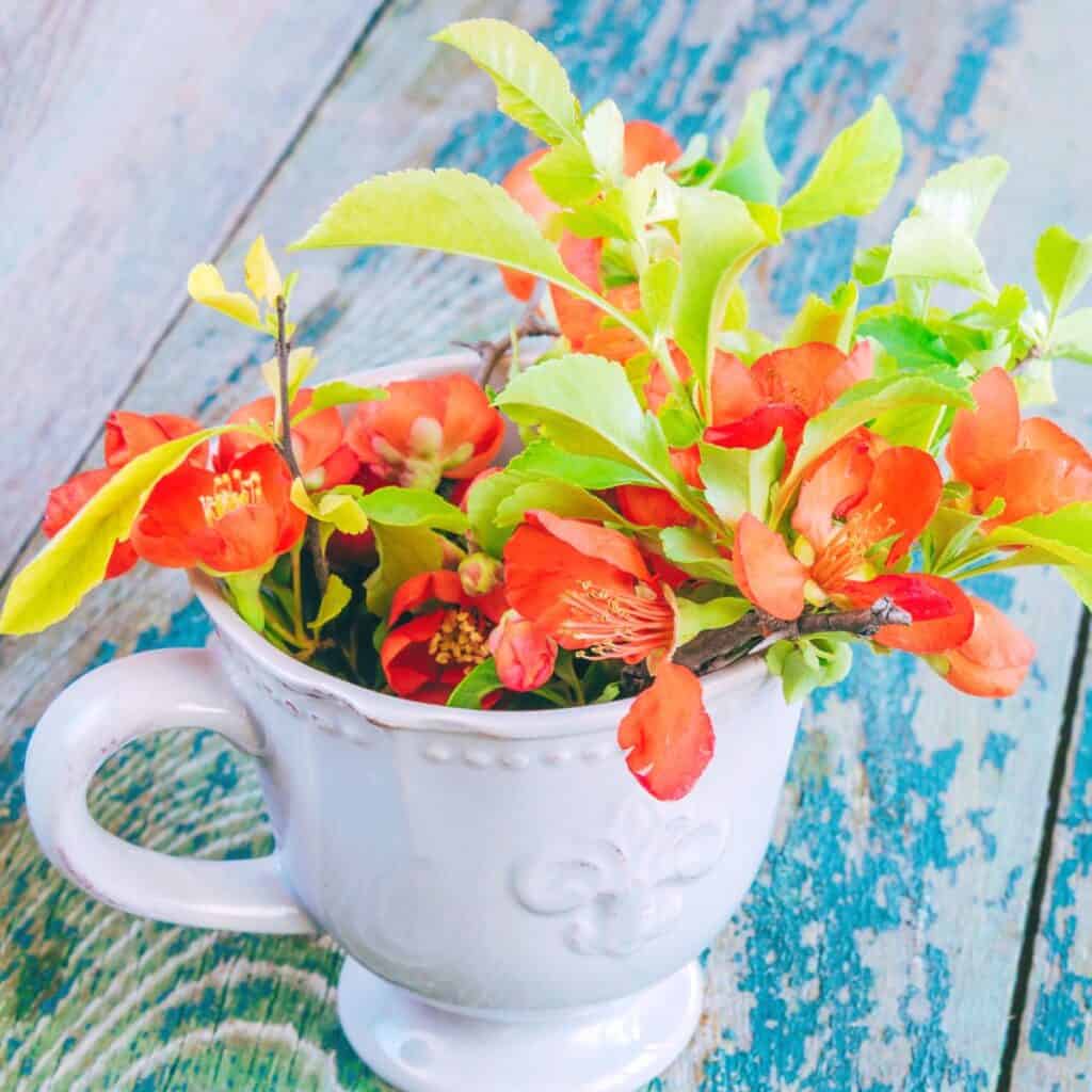 27 Ways to Upcycle Kitchen items in Your Garden - DIY and Fun