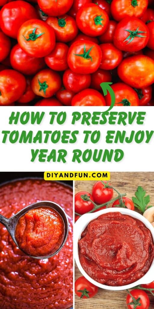 How to Preserve Tomatoes to Enjoy Year Round - DIY and Fun