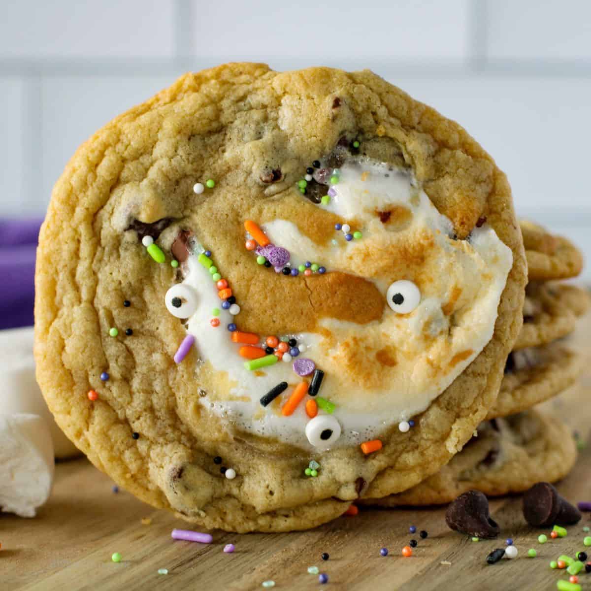 Monster Chocolate Chip Stuffed Smore Cookies - DIY and Fun